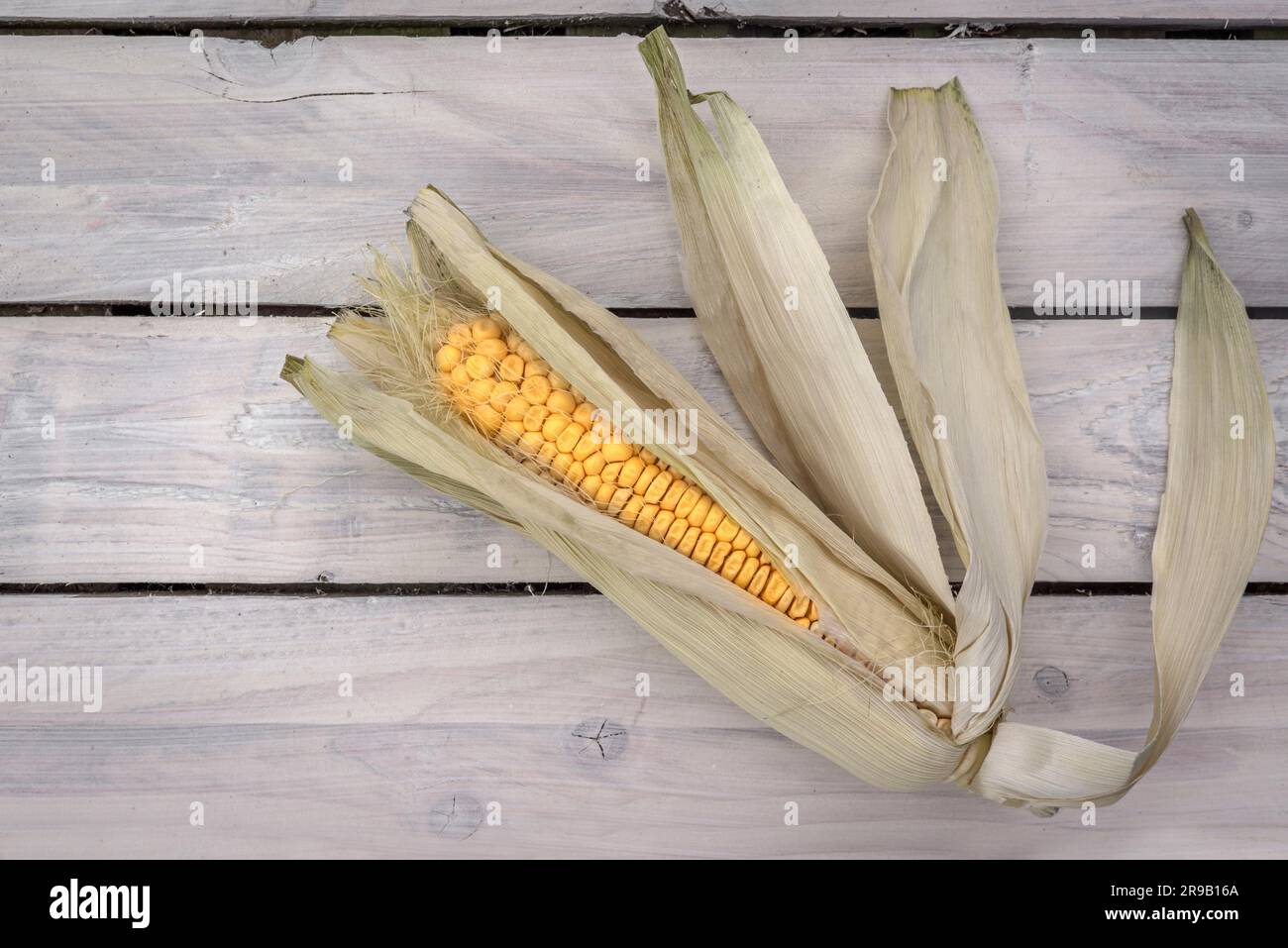 Raw corn hi-res stock photography and images - Alamy