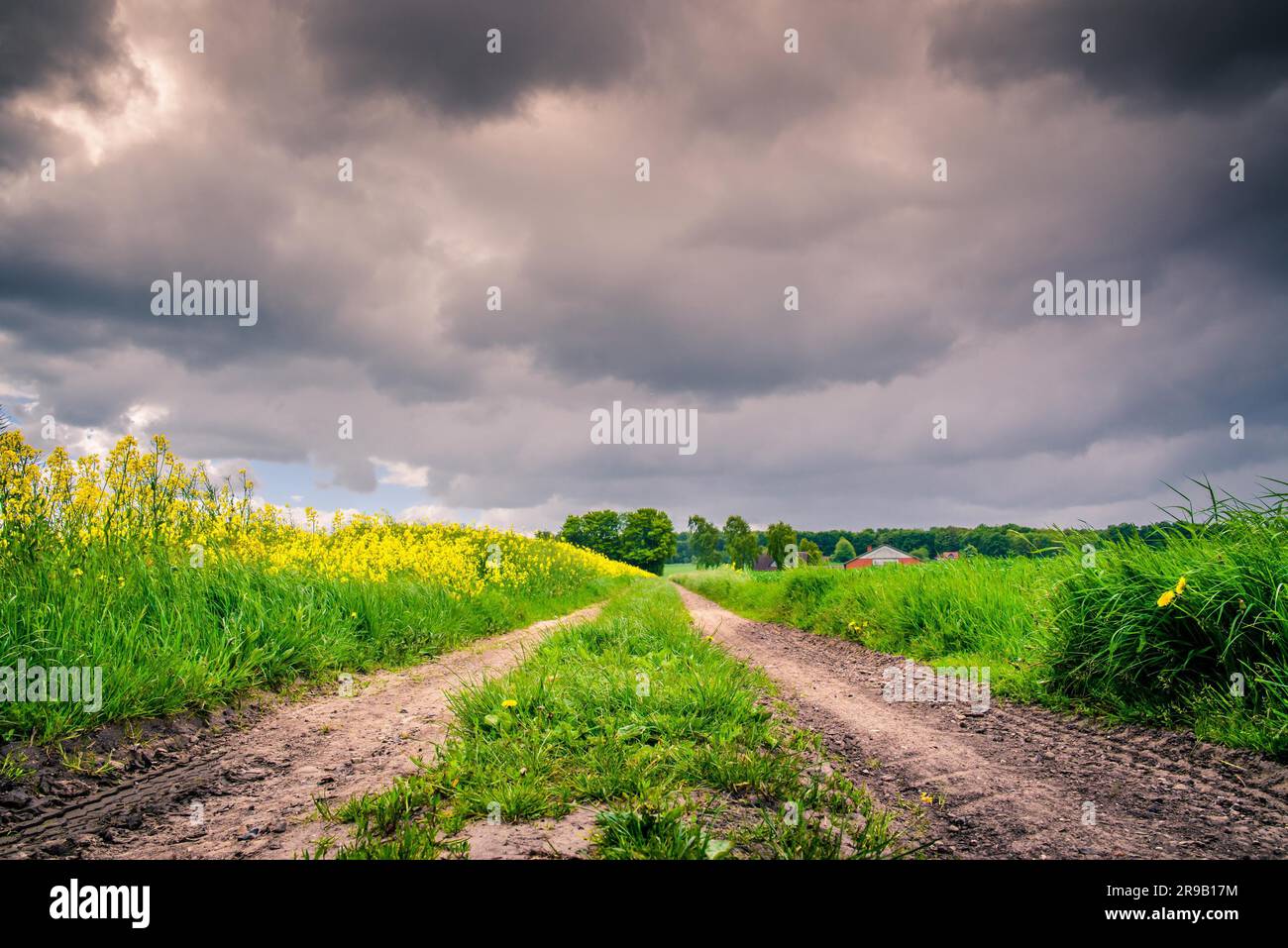 Nature path with dark clouds in the air Stock Photo - Alamy