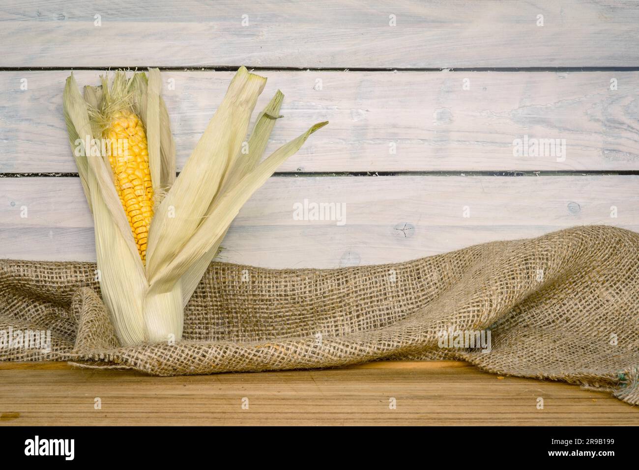 Maize cob hi-res stock photography and images - Alamy