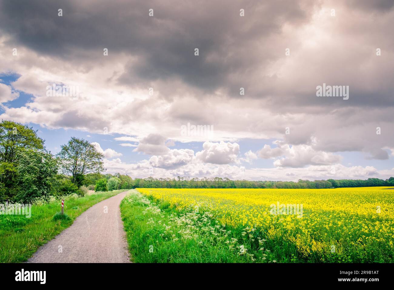 Dark sky path hi-res stock photography and images - Alamy