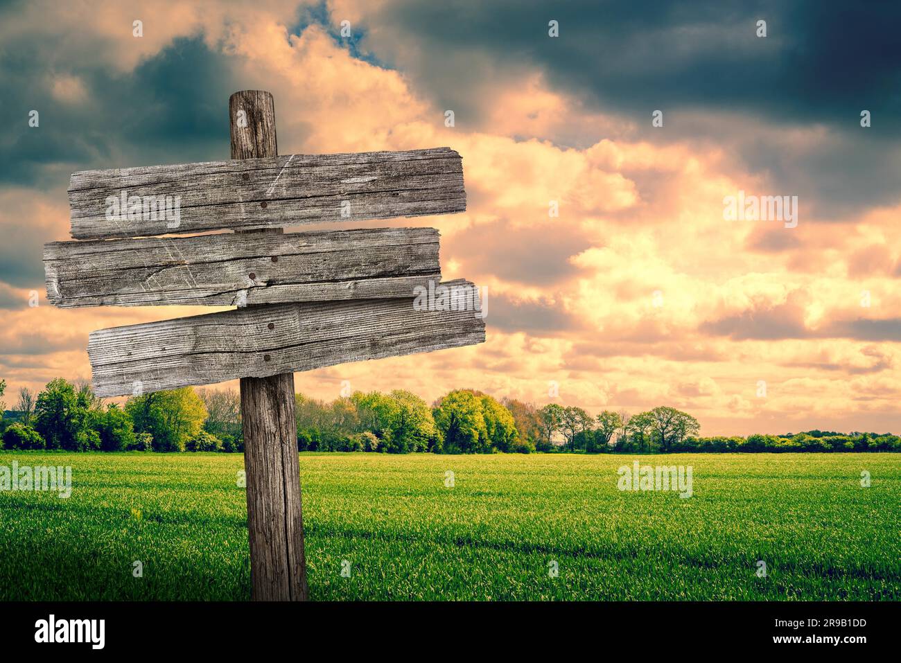 Green sign wood hi-res stock photography and images - Alamy