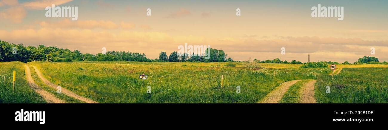 Two roads on a countryside landscape in the summertime Stock Photo - Alamy