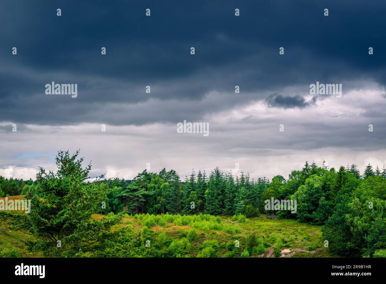 Danish Landscape with dark clouds in the summer Stock Photo - Alamy