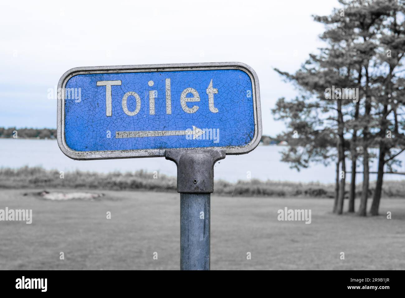 Grunge toilet sign in blue color and outdoors Stock Photo - Alamy