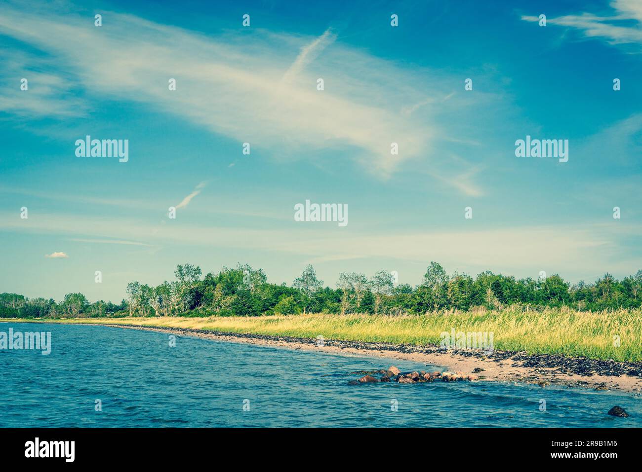 Beach in Denmark with green grass and blue water Stock Photo - Alamy