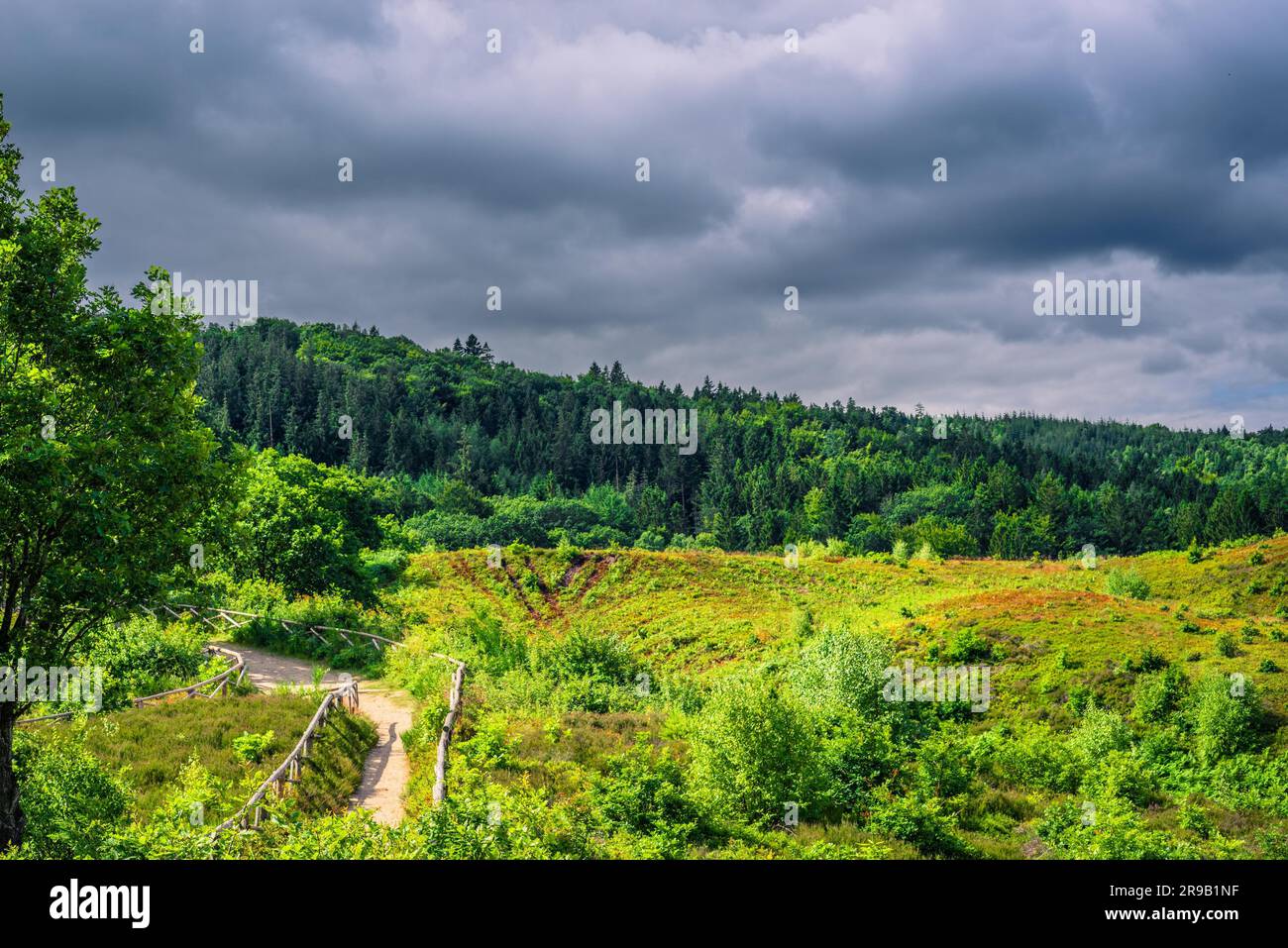 Green nature in Denmark with dark clouds in the summer Stock Photo - Alamy
