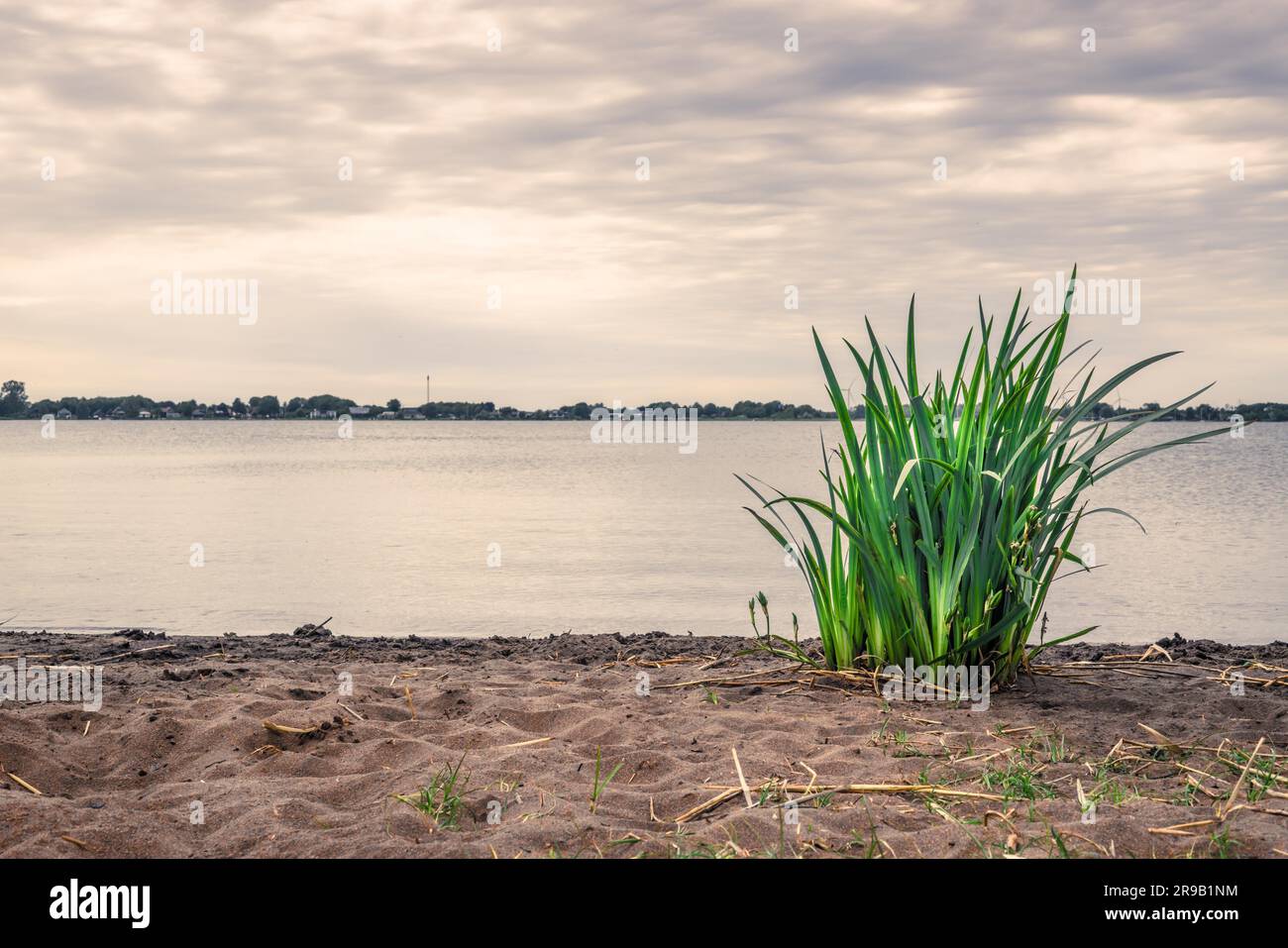 Cloud rush hi-res stock photography and images - Alamy