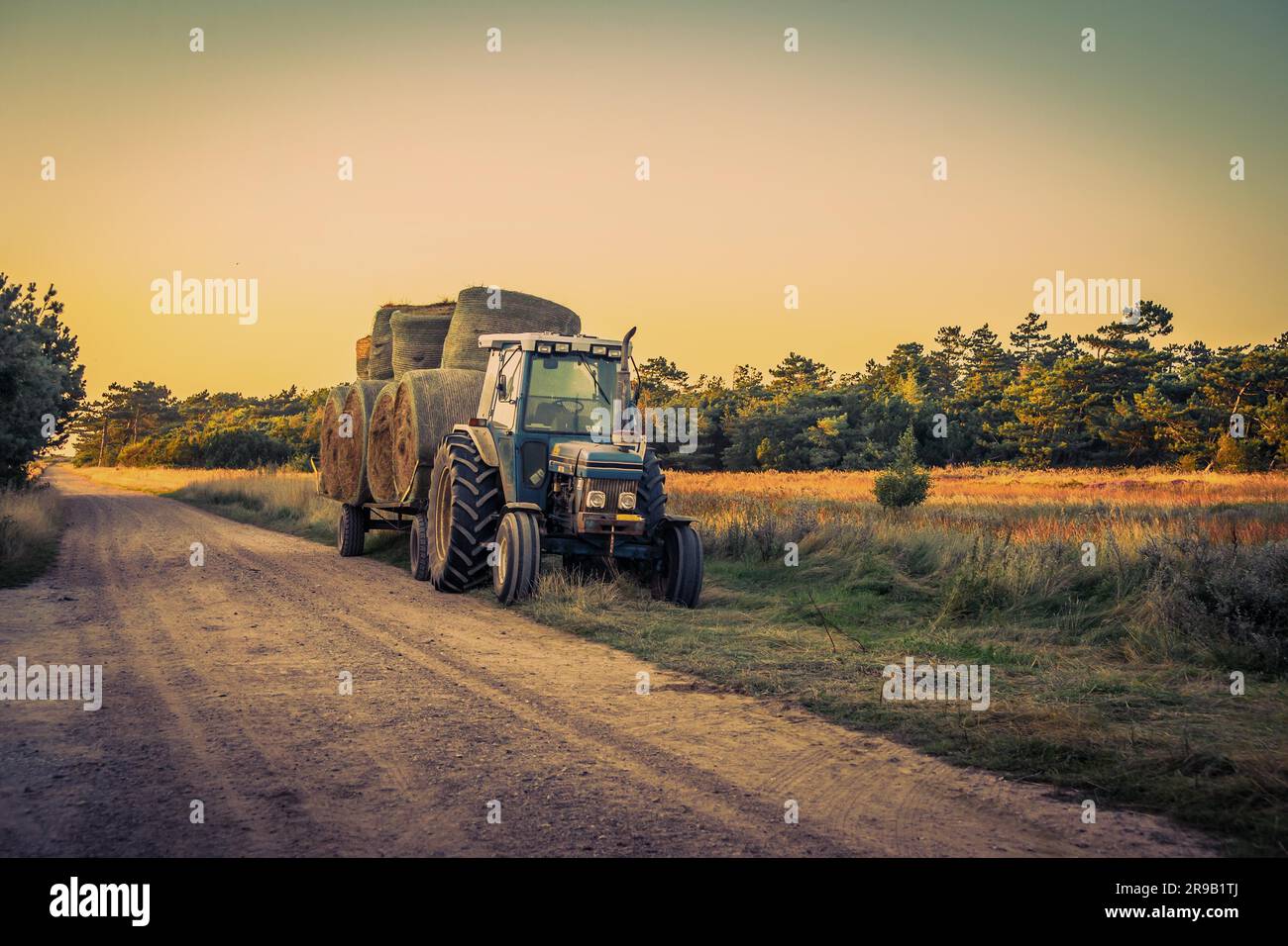 Old blue tractor loaded with round hay bales Stock Photo - Alamy