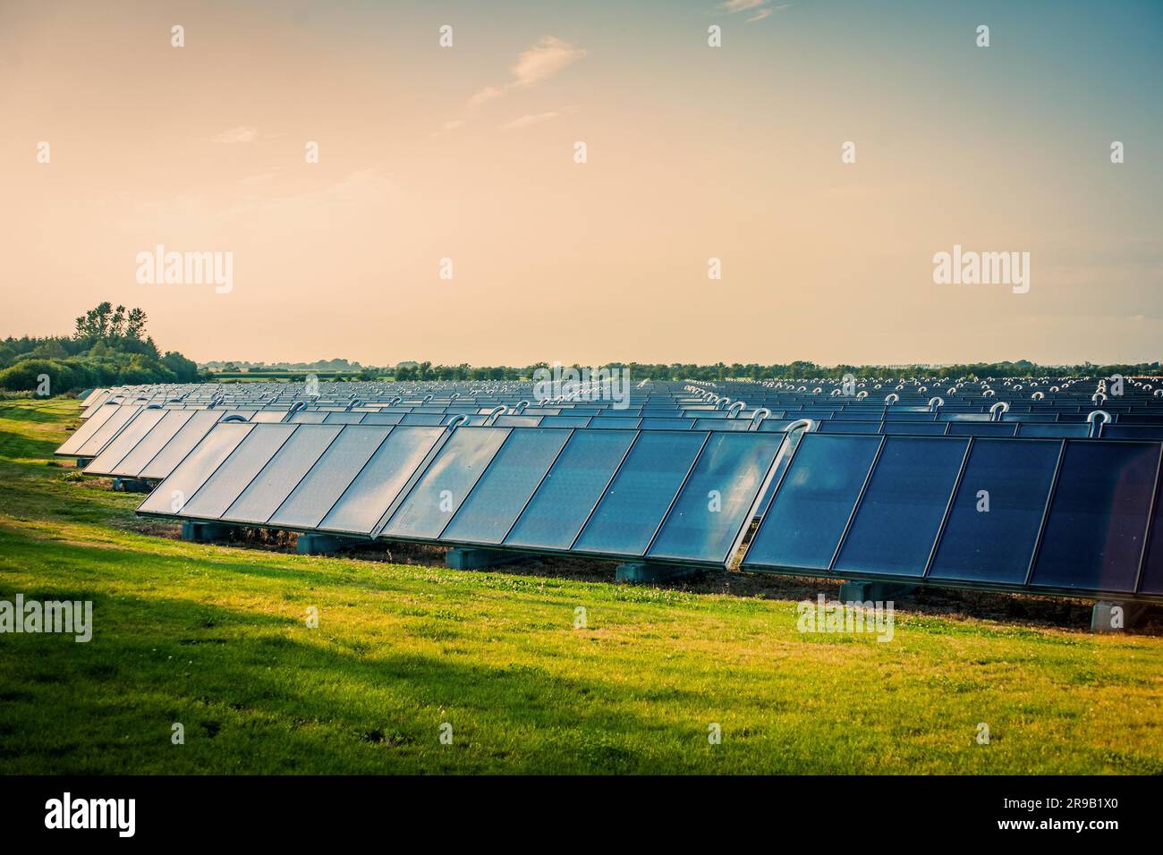 Solar park with blue cells on a green field Stock Photo - Alamy
