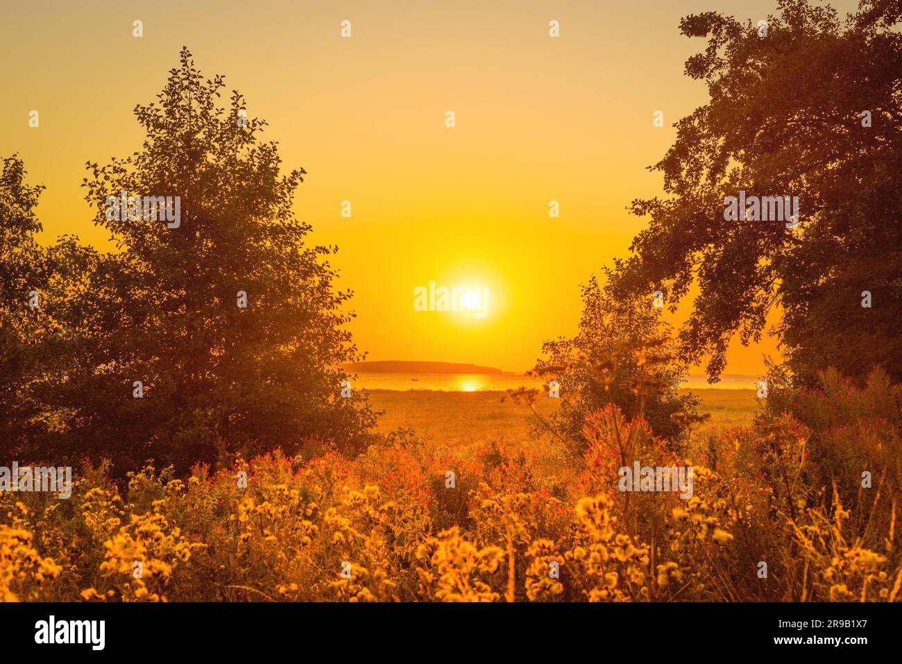 Sunrise over a lake with trees in the morning Stock Photo - Alamy