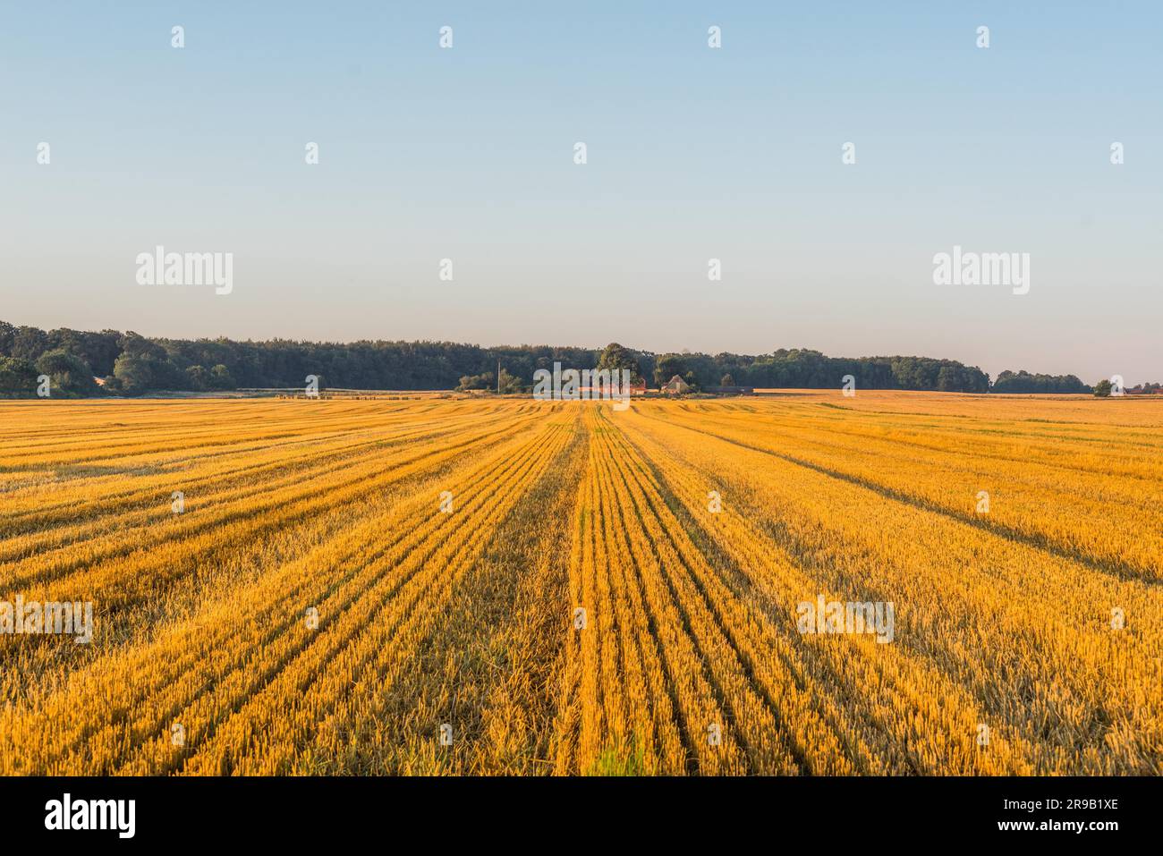 Field at a farm in the late summer Stock Photo - Alamy
