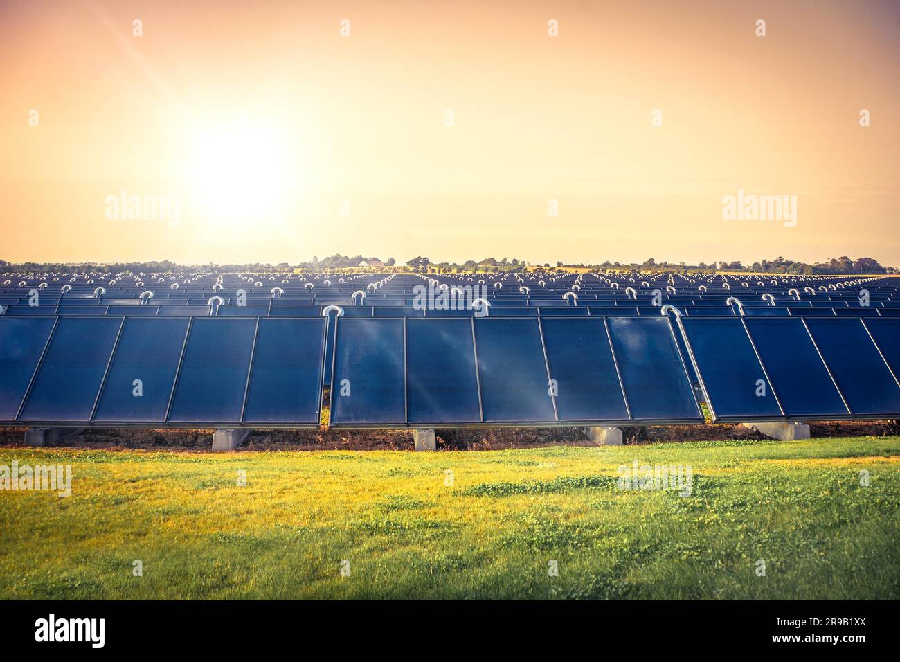 Solar cell park on a field in the sun Stock Photo - Alamy