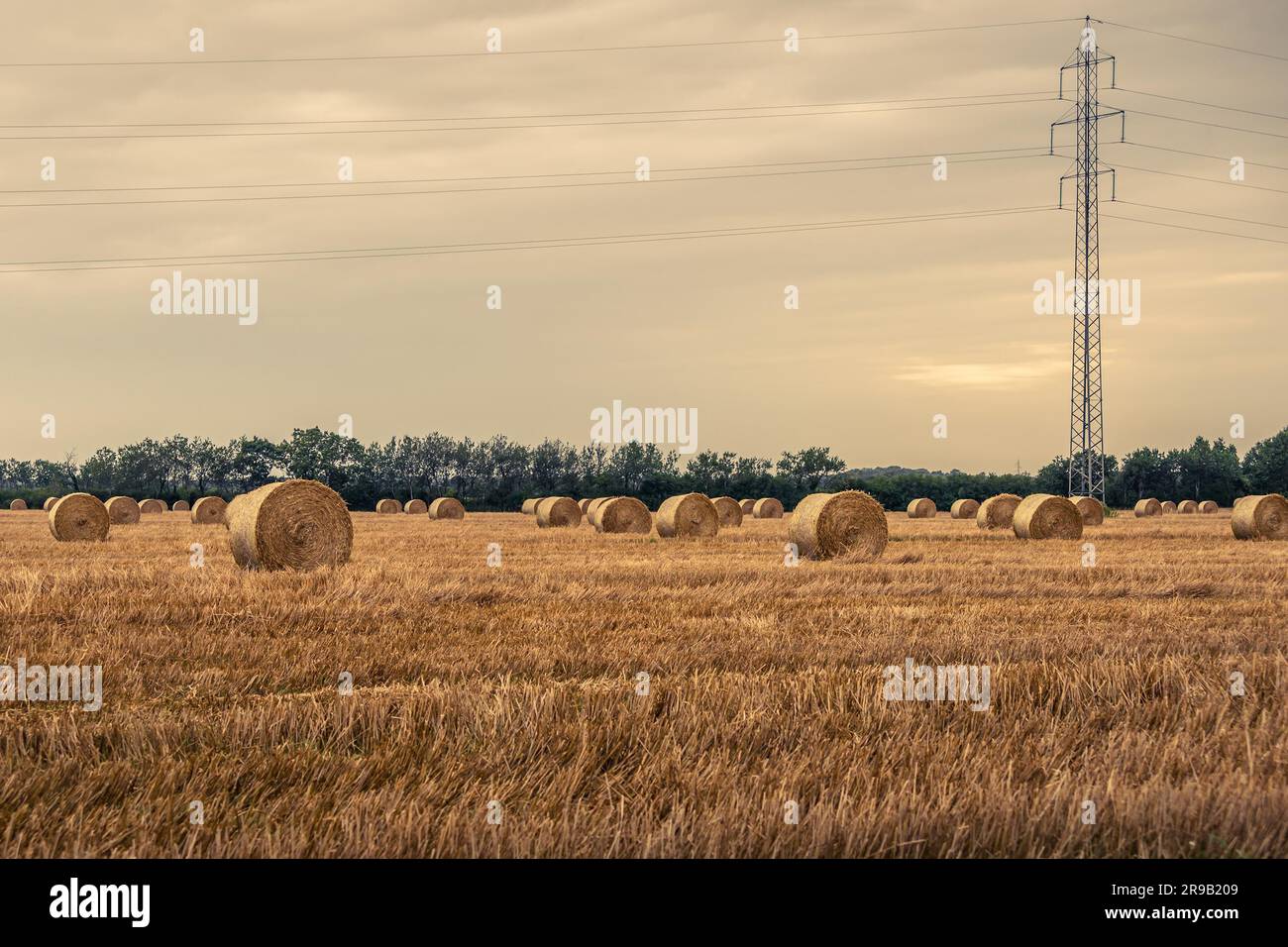 Round bales on a field with pylons in the evening Stock Photo - Alamy