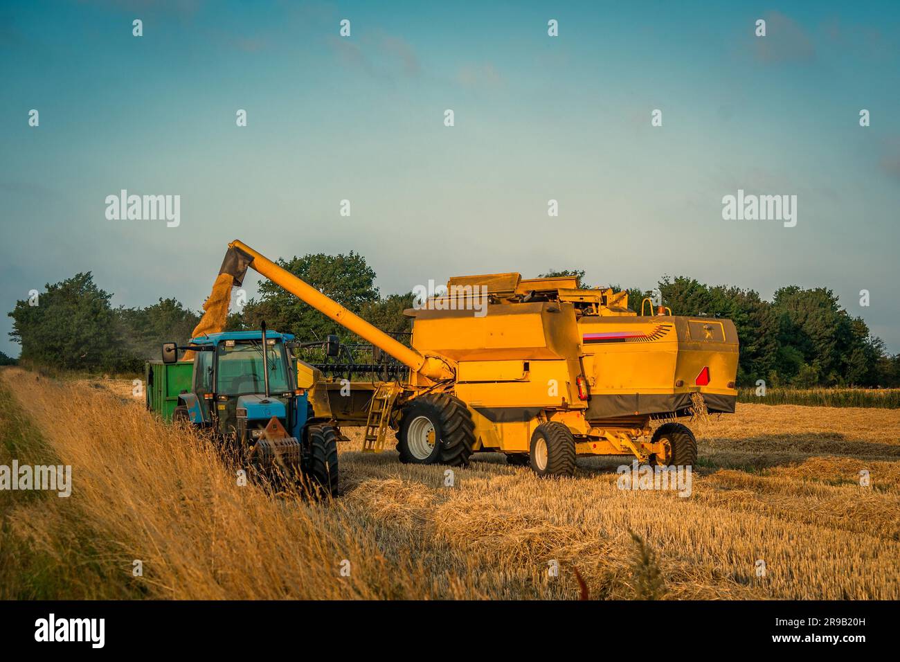 Loading grain hi-res stock photography and images - Alamy