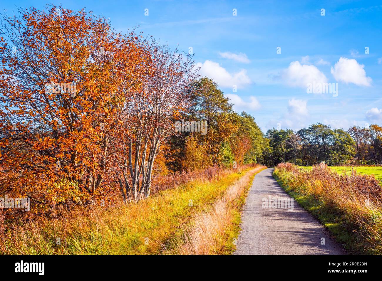 Trail going through a autumn scenery in sunshine Stock Photo - Alamy