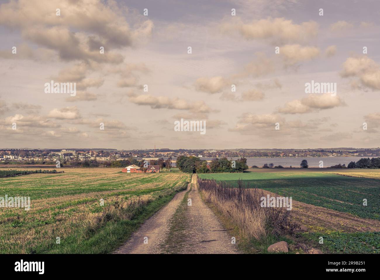 Long road in a countryside with fields Stock Photo - Alamy