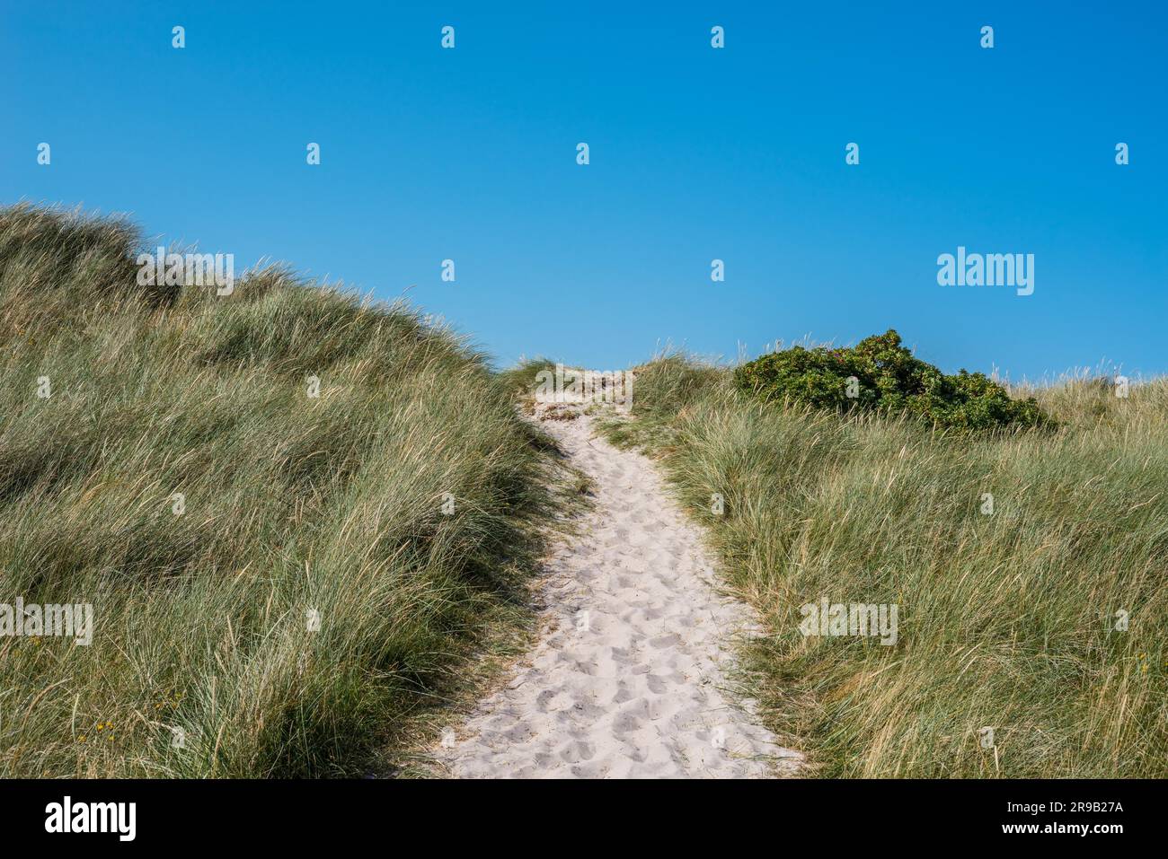 Green sand way hi-res stock photography and images - Alamy