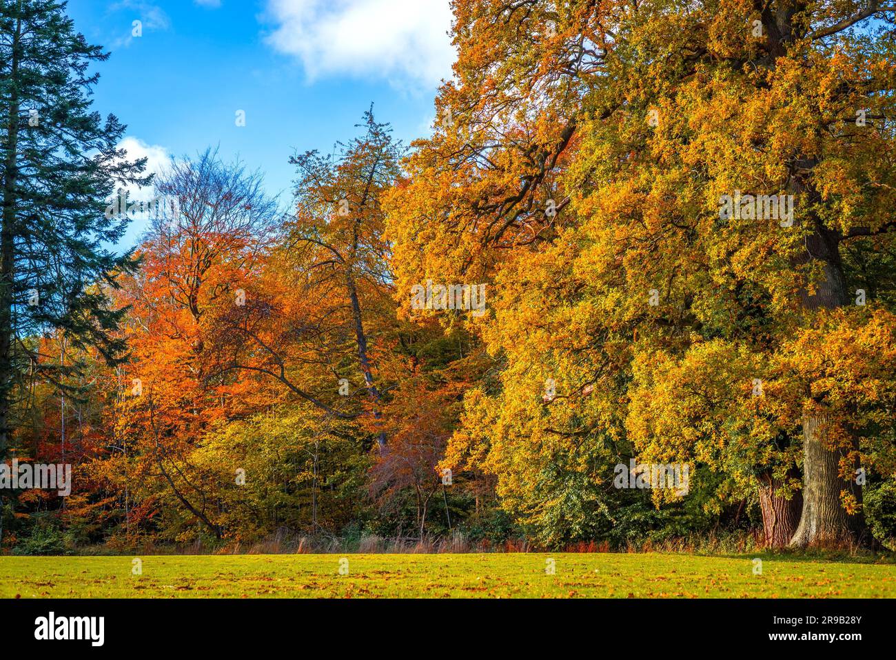 Changing mood hi-res stock photography and images - Alamy