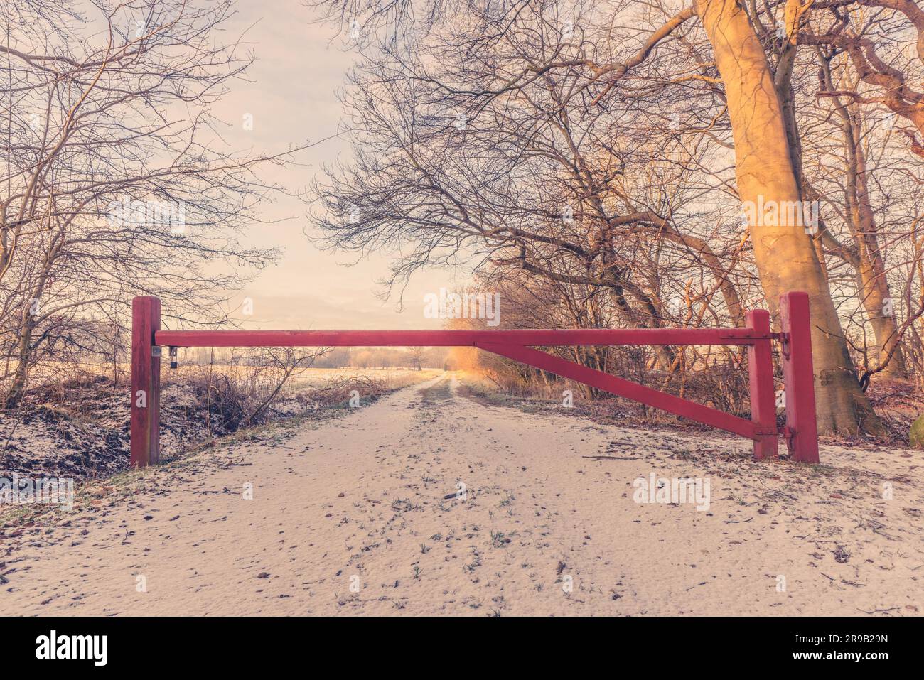 Wooden barrier on a nature path at wintertime Stock Photo - Alamy