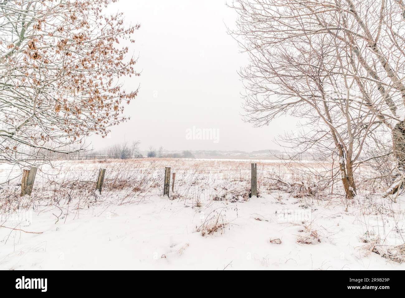 Winter countryside rural landscape hi-res stock photography and images ...
