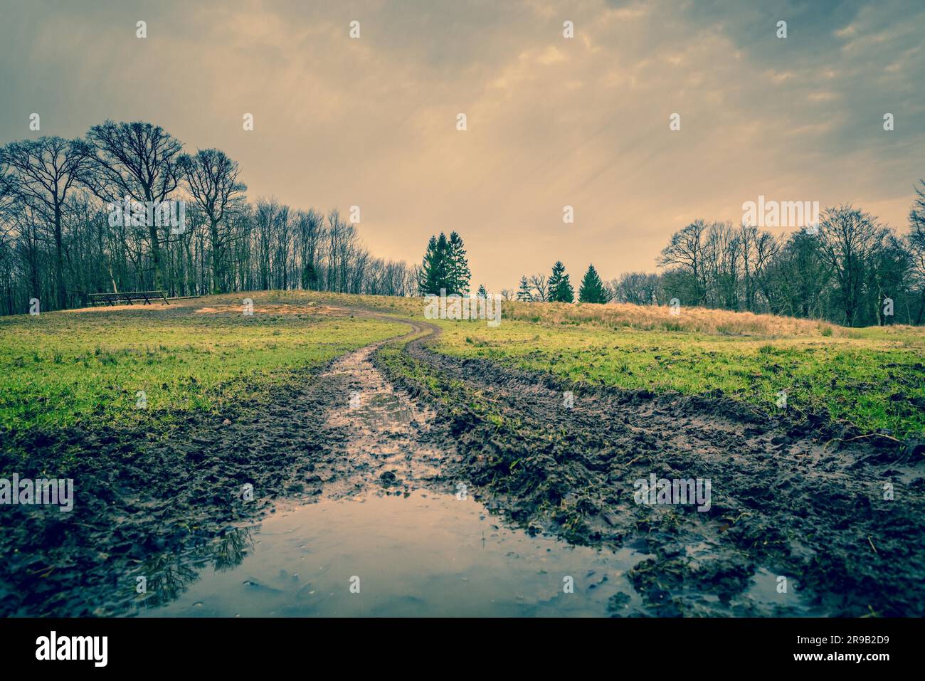 Muddy road with a puddle in autumn Stock Photo - Alamy