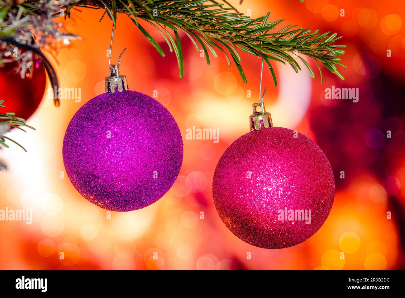 Christmas baubles in violet colors hanging from a branch Stock Photo ...