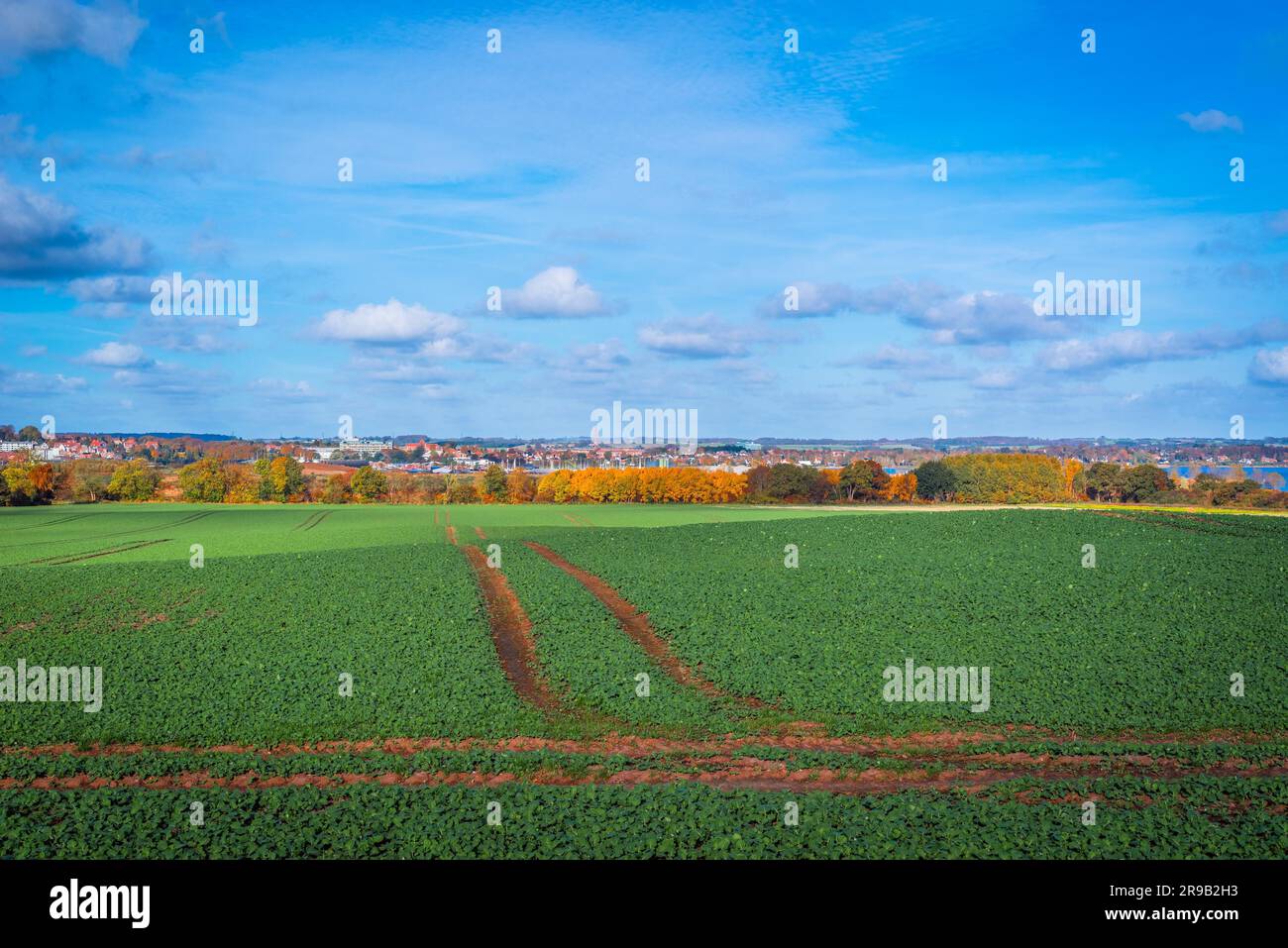 Track and field city hi-res stock photography and images - Alamy