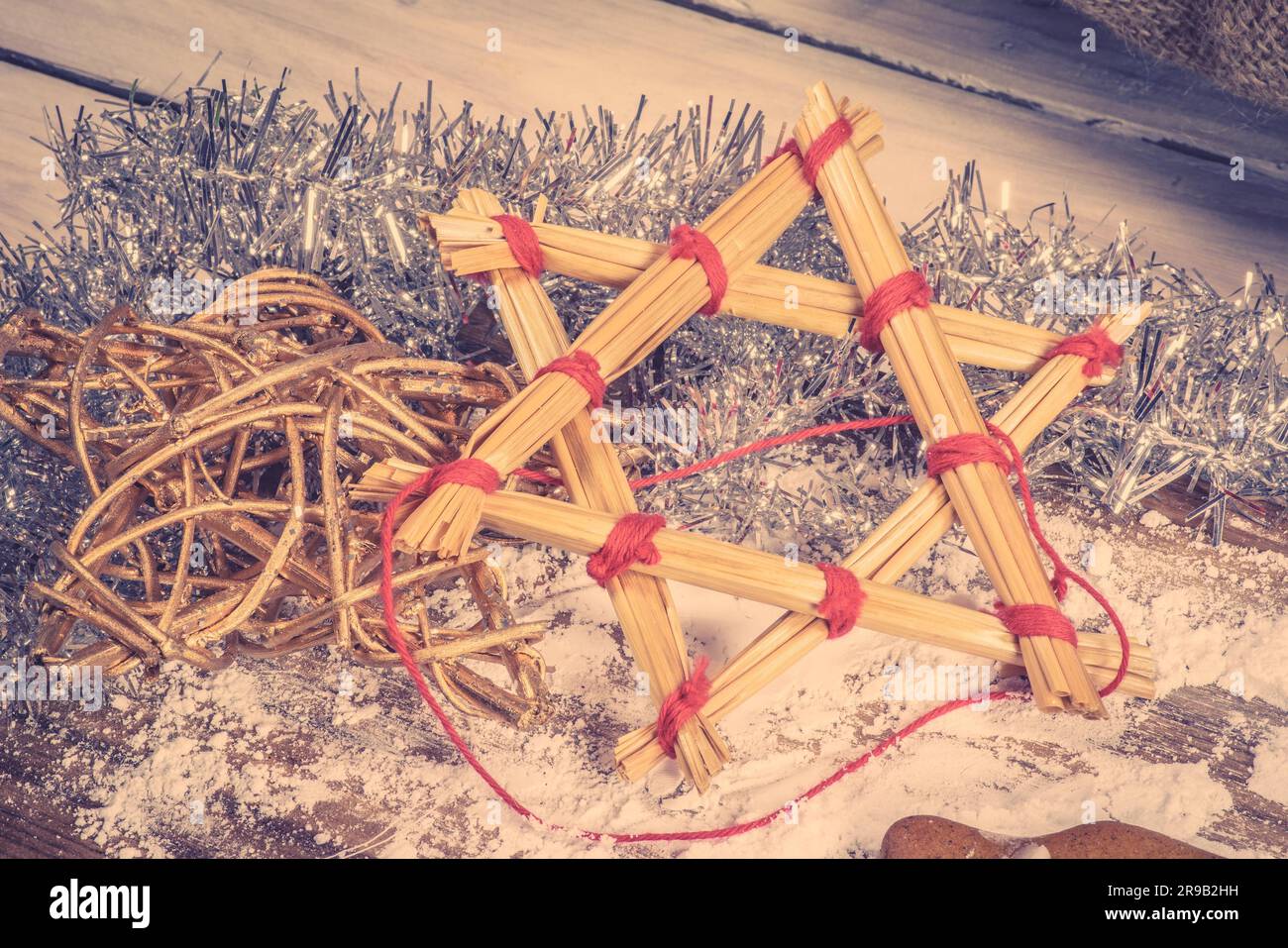 Flowering christmas star poinsettia hi-res stock photography and images ...