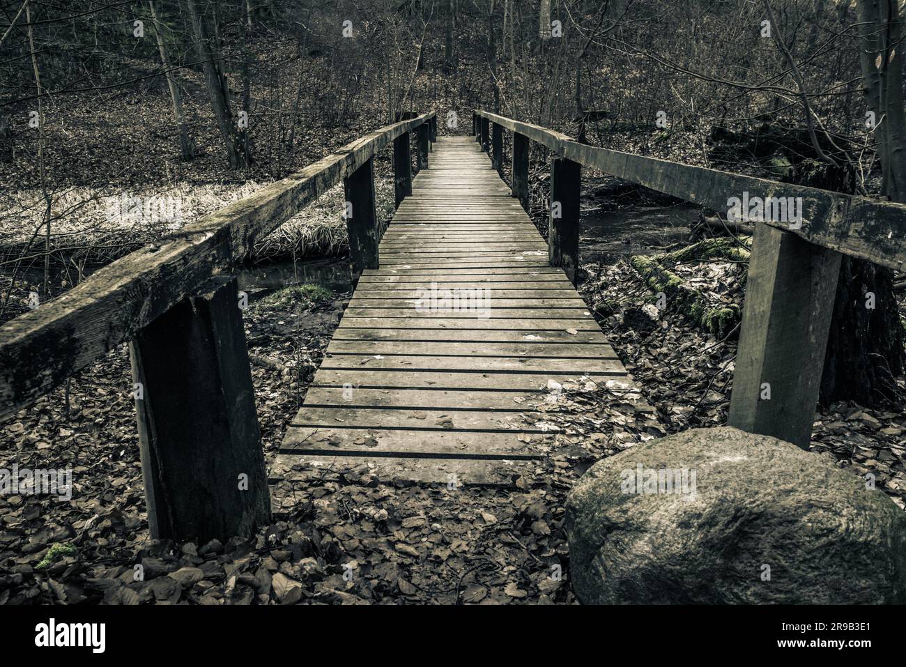 Old wooden bridge with planks in a forest Stock Photo - Alamy