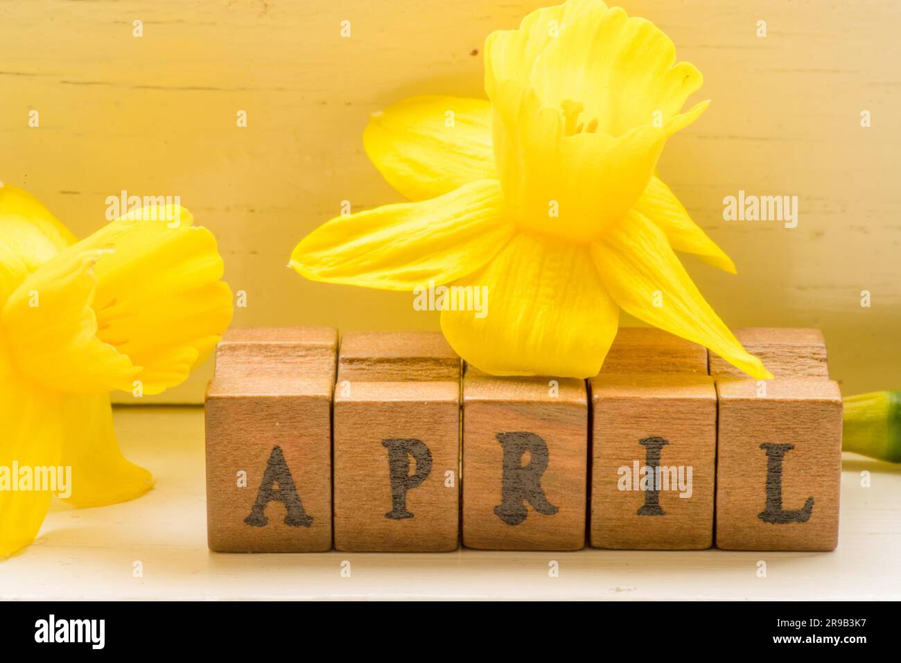 Plant of the month hi-res stock photography and images - Alamy