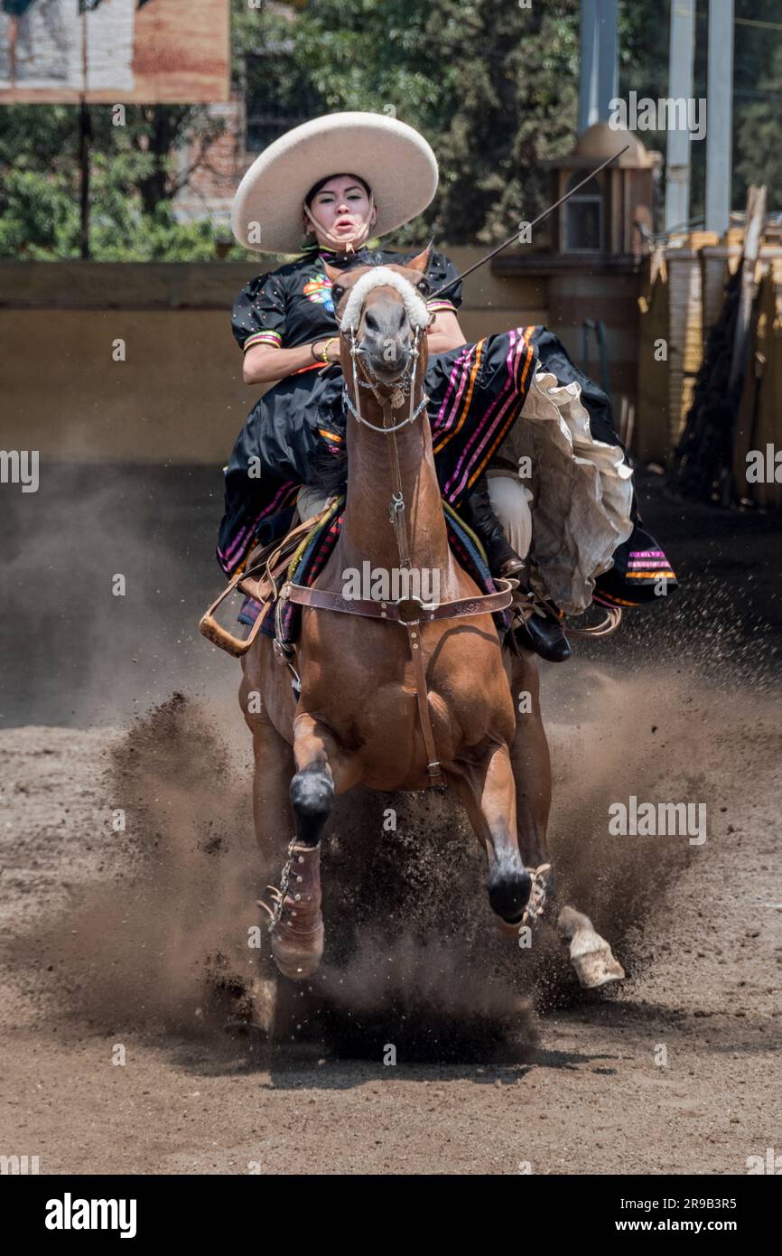 Women compete in a traditional Charreria in Mexico City, Mexico Stock ...