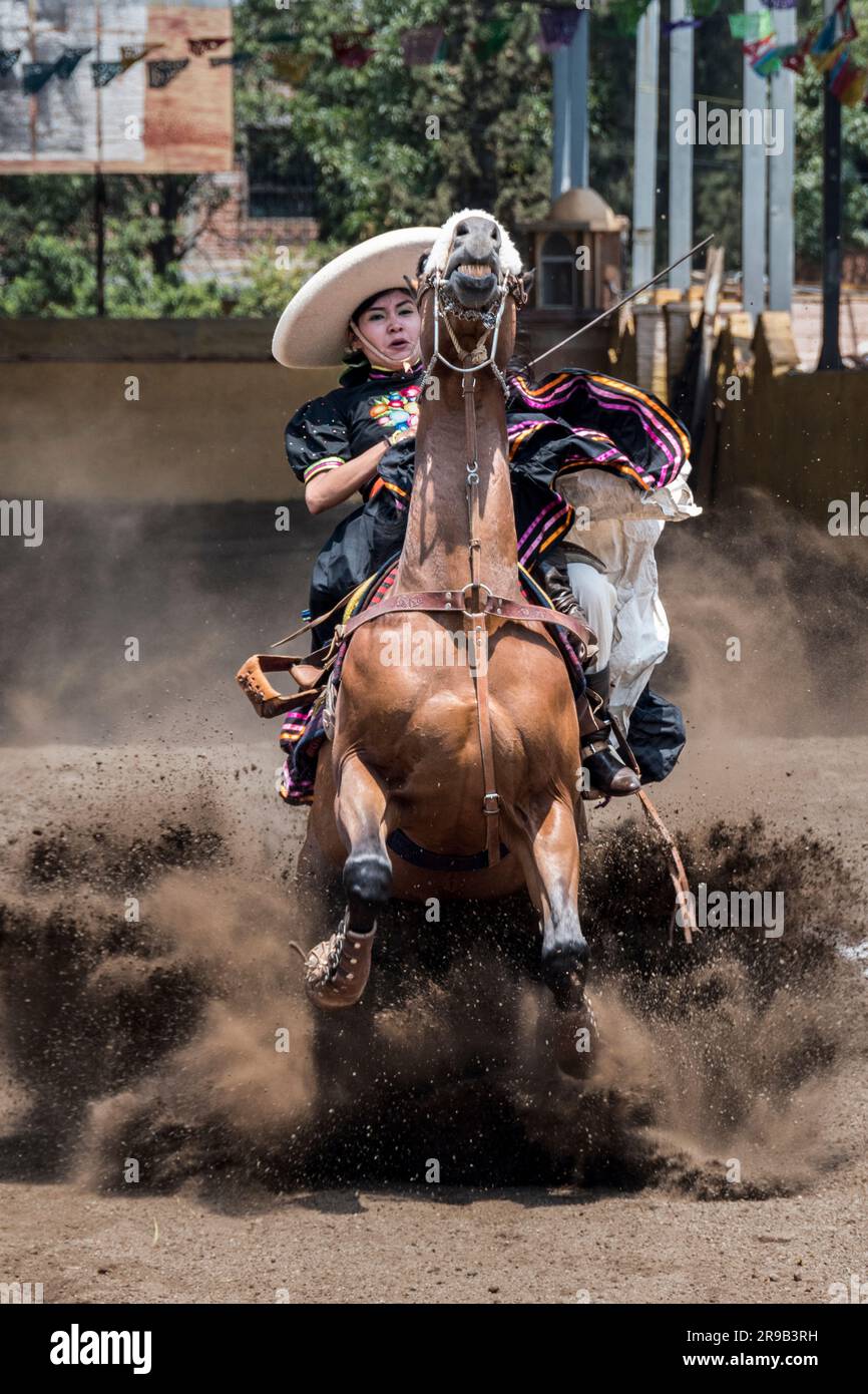Women compete in a traditional Charreria in Mexico City, Mexico Stock ...