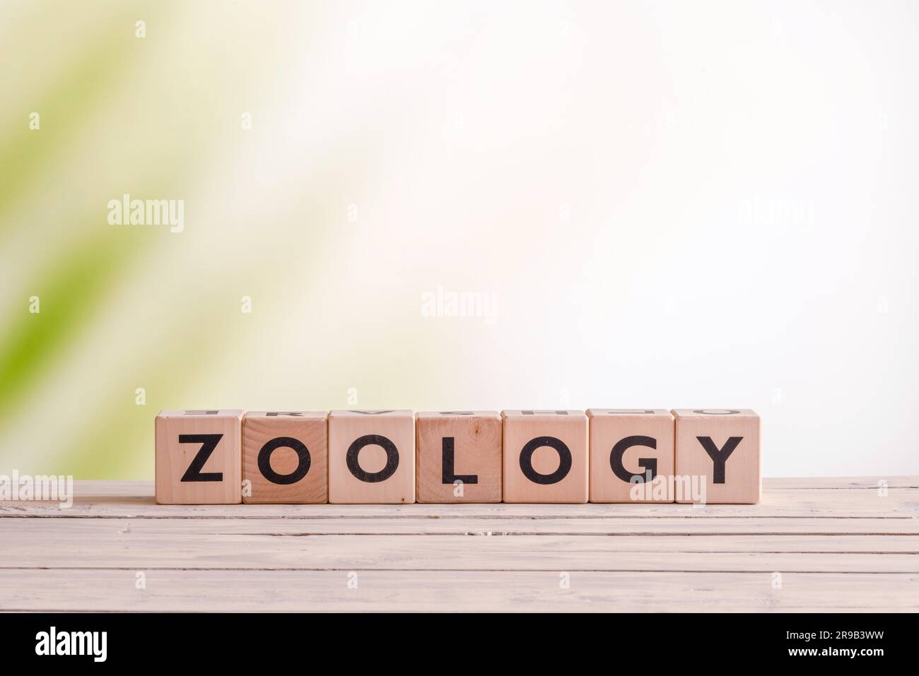Lesson of zoology hi-res stock photography and images - Alamy
