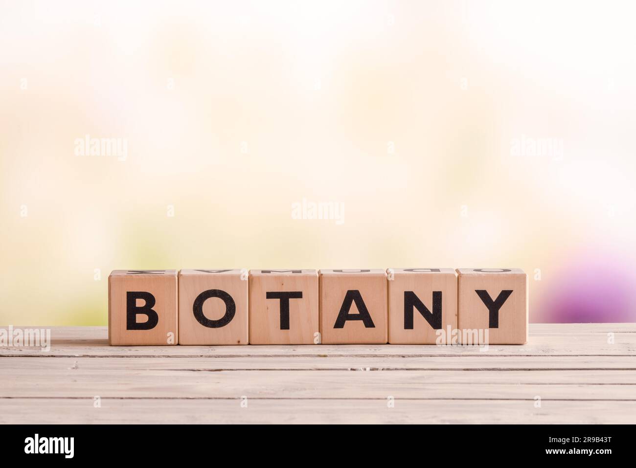 Botany sign made with cubes on a wooden garden table Stock Photo - Alamy