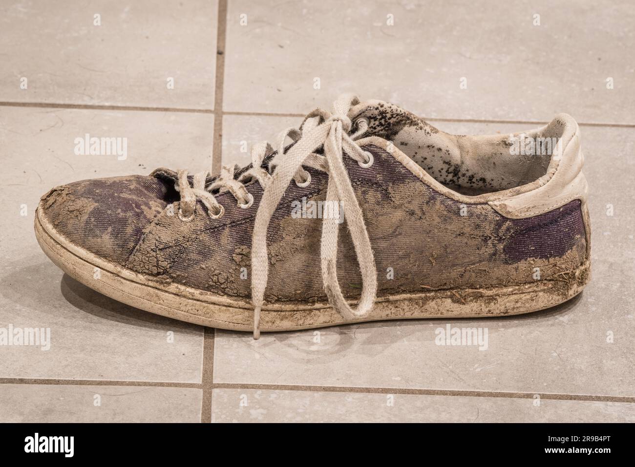 Dirty shoe with white laces covered with mud Stock Photo - Alamy