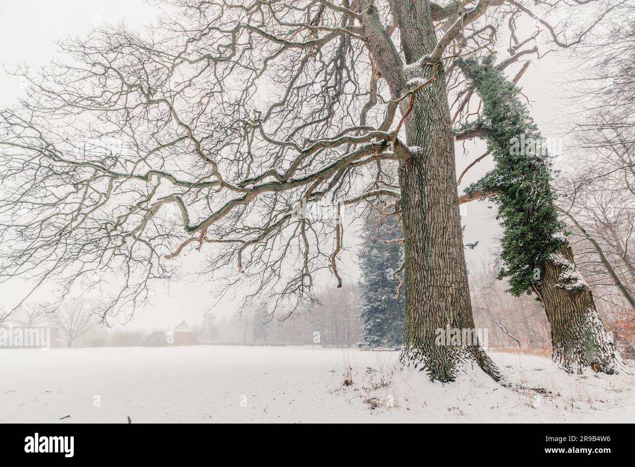 Magical winter landscape scenery hi-res stock photography and images ...