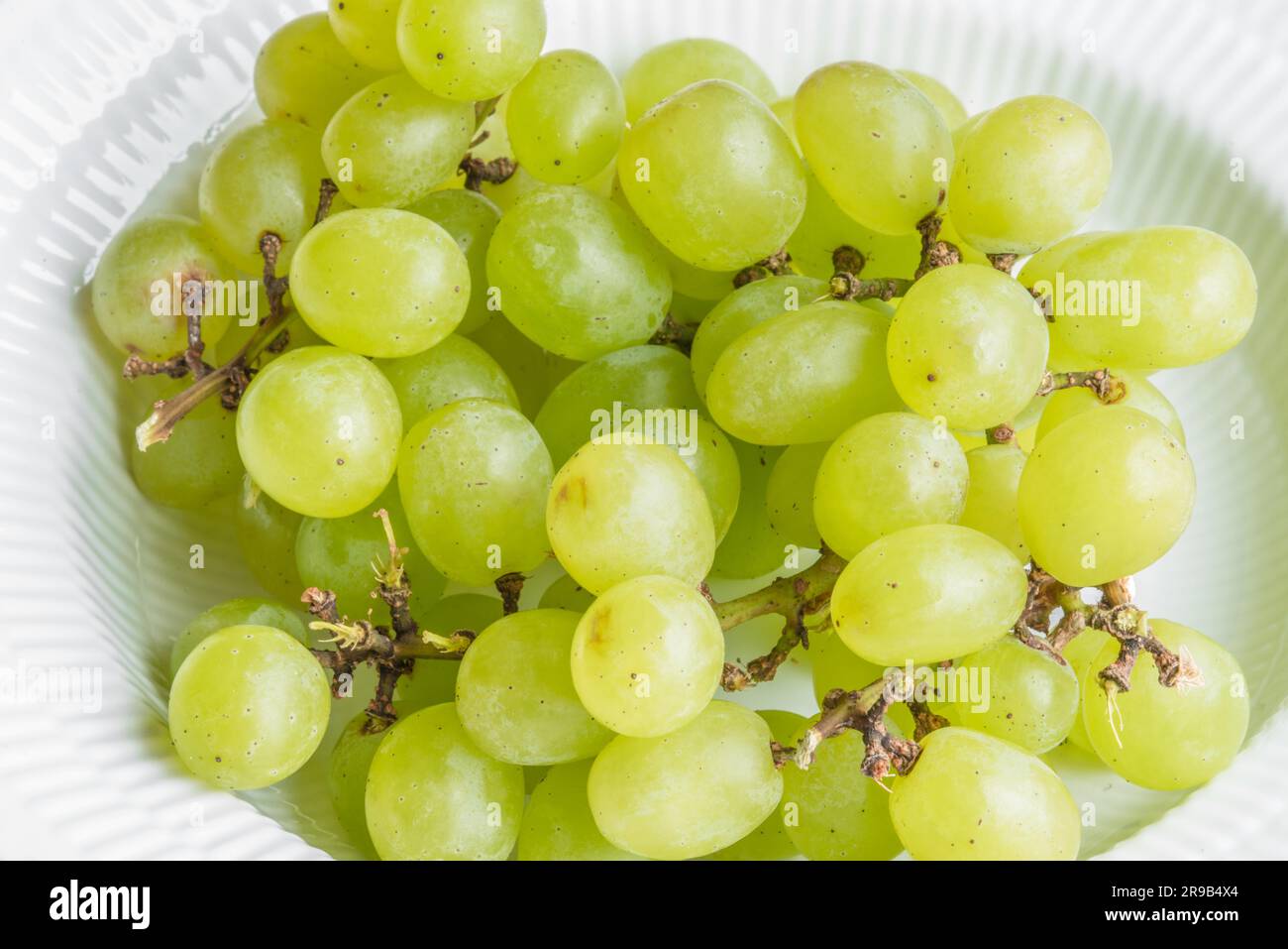 Pile of green grapes in a white bowl Stock Photo - Alamy