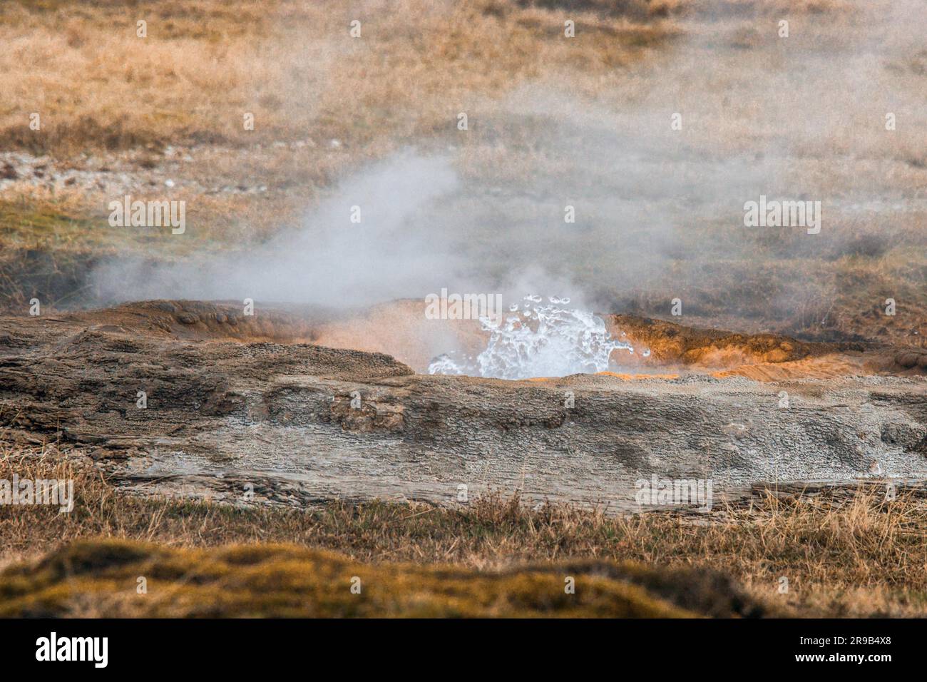 Geothermal nature with boiling water in Iceland Stock Photo - Alamy