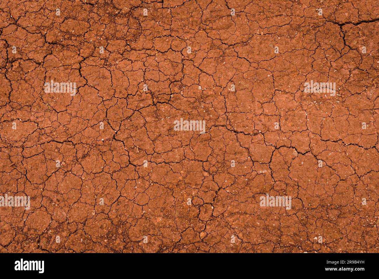 Dry land surface with cracks in the summer Stock Photo - Alamy