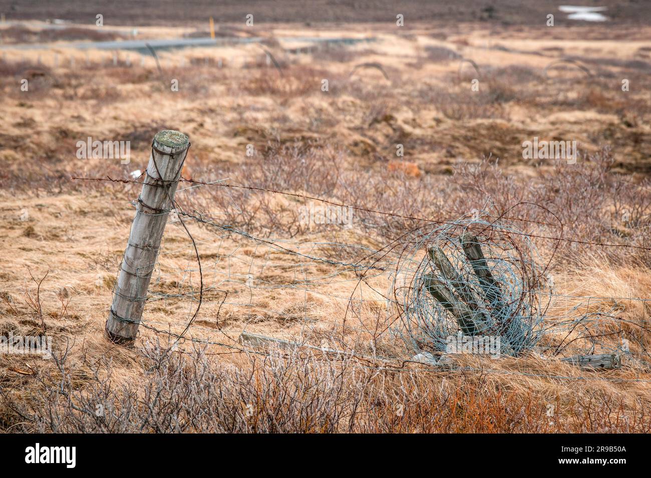 Fence with barb wire on a field in the fall Stock Photo - Alamy