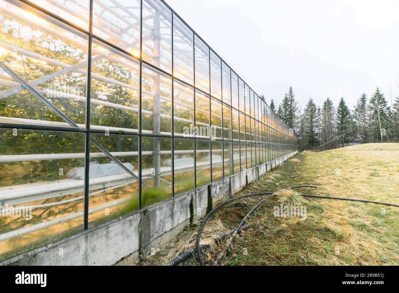 Greenery outside windows hi-res stock photography and images - Alamy