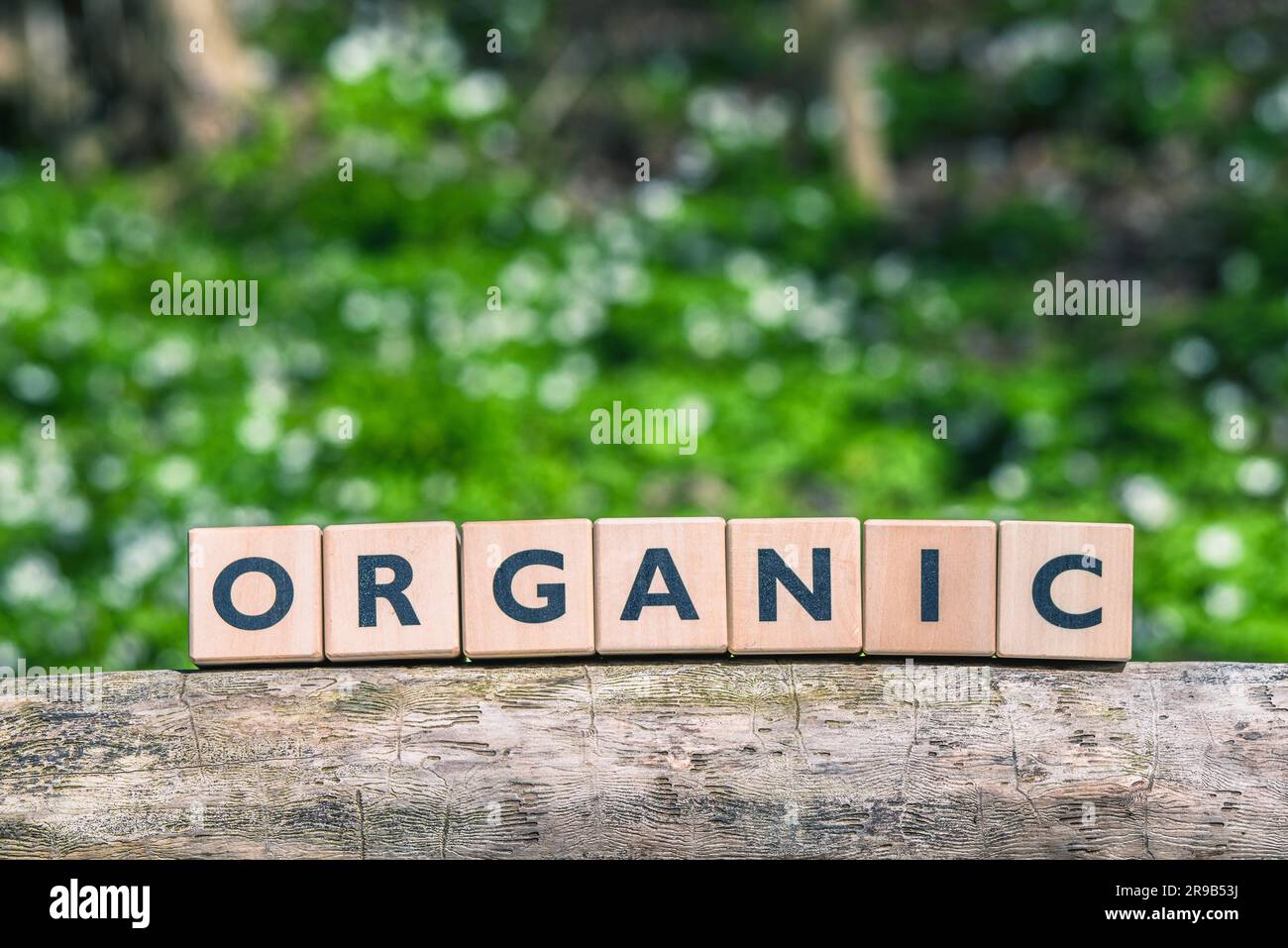 Organic sign in a green forest in the woods Stock Photo - Alamy