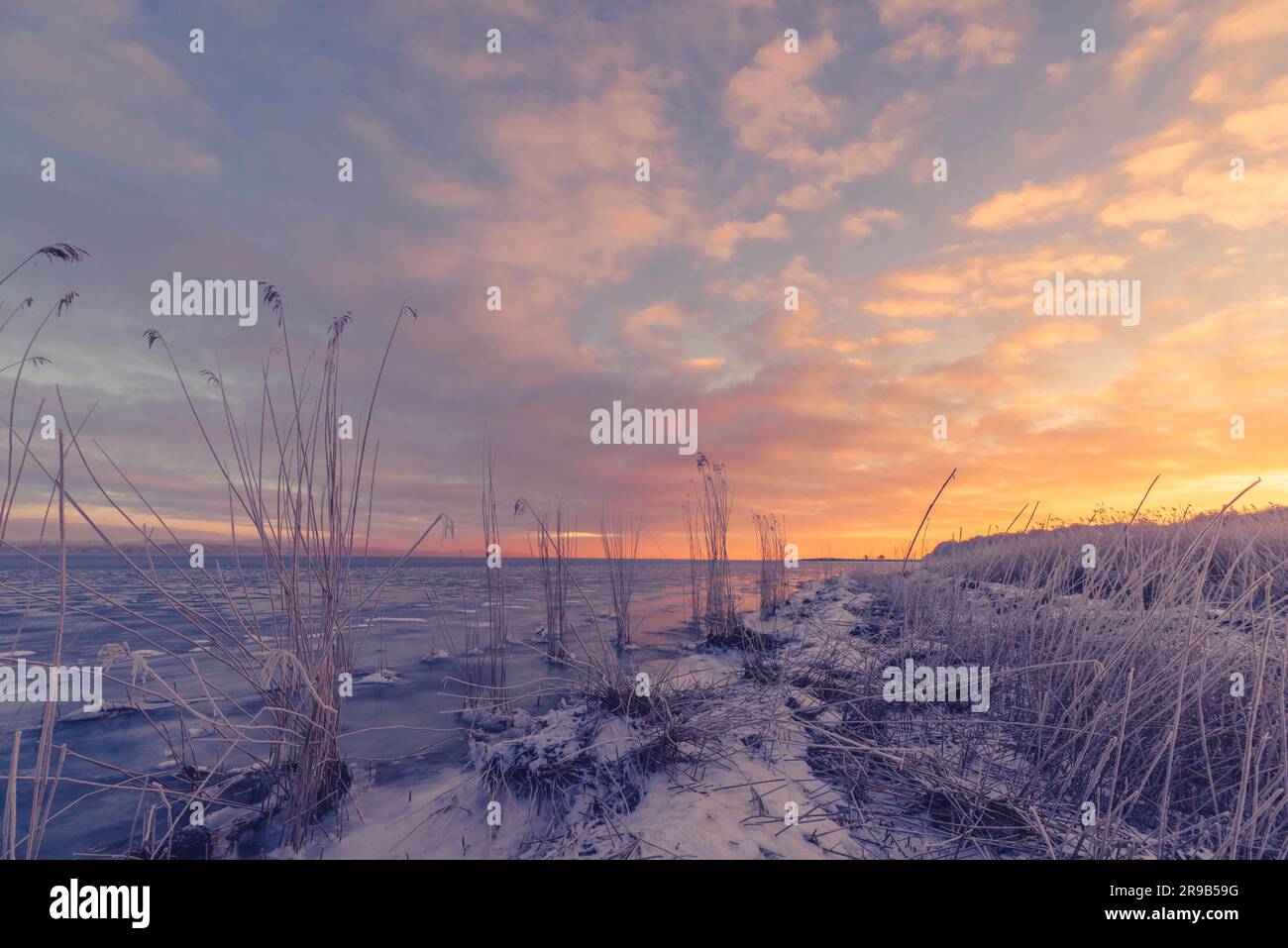 Frozen seashore hi-res stock photography and images - Alamy