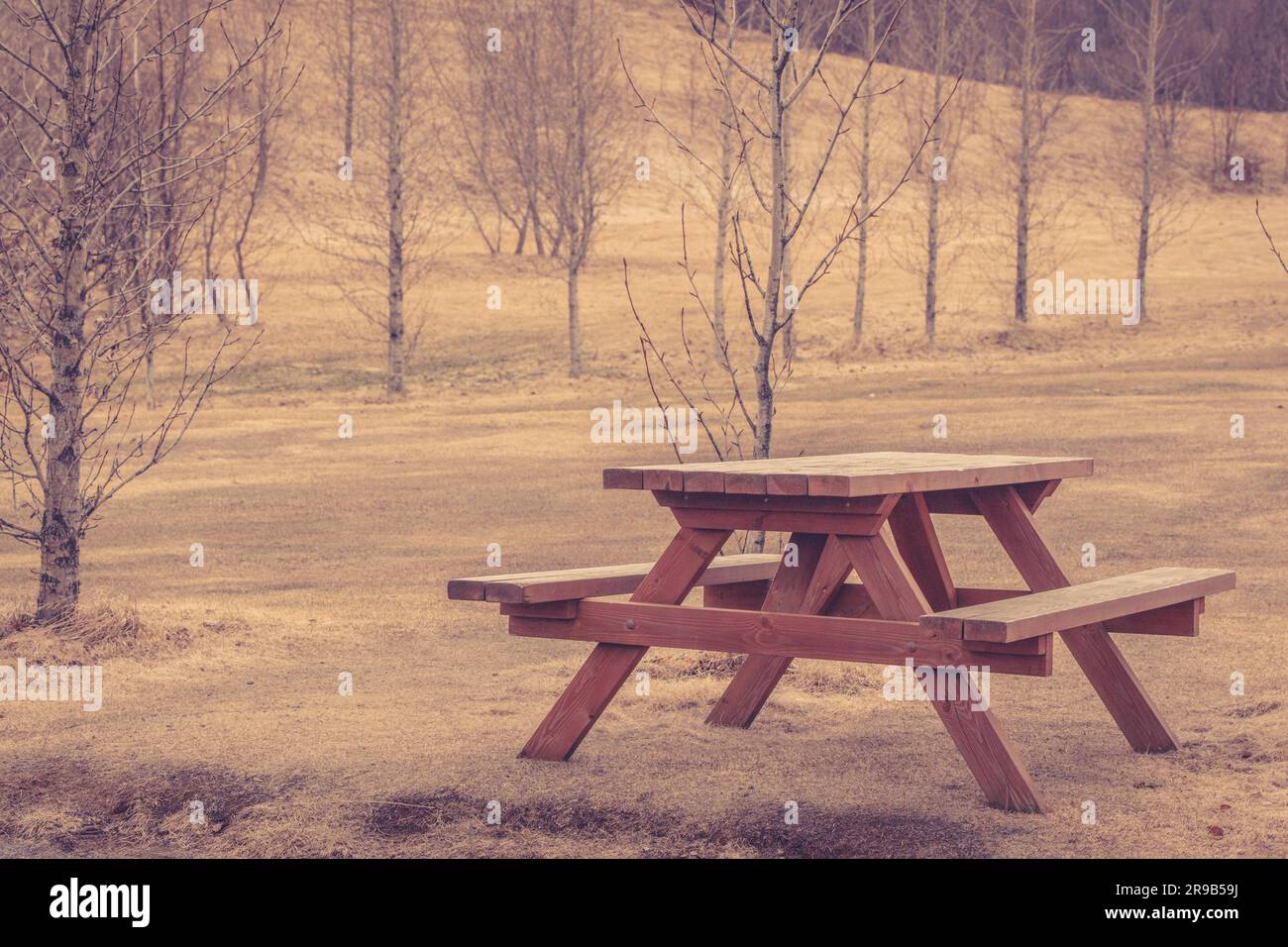 Birch bench hi-res stock photography and images - Alamy