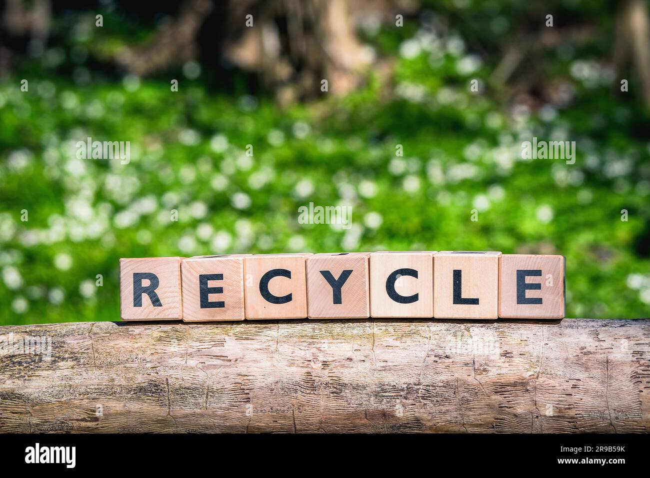 Recycle sign in a green forest in the spring Stock Photo - Alamy
