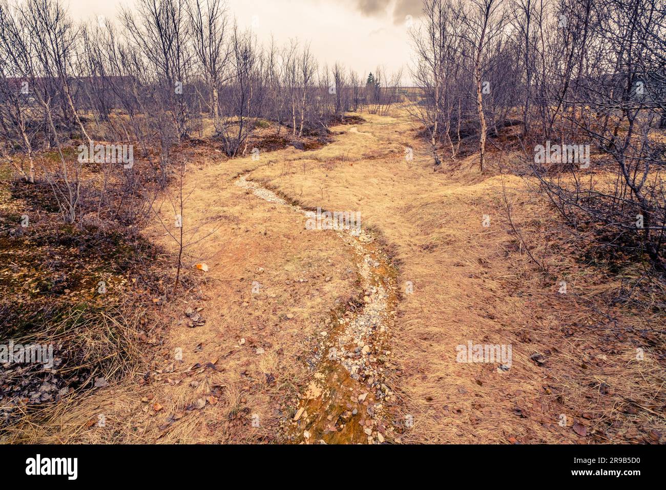 Dry river stream with pebbles in cloudy weather Stock Photo - Alamy