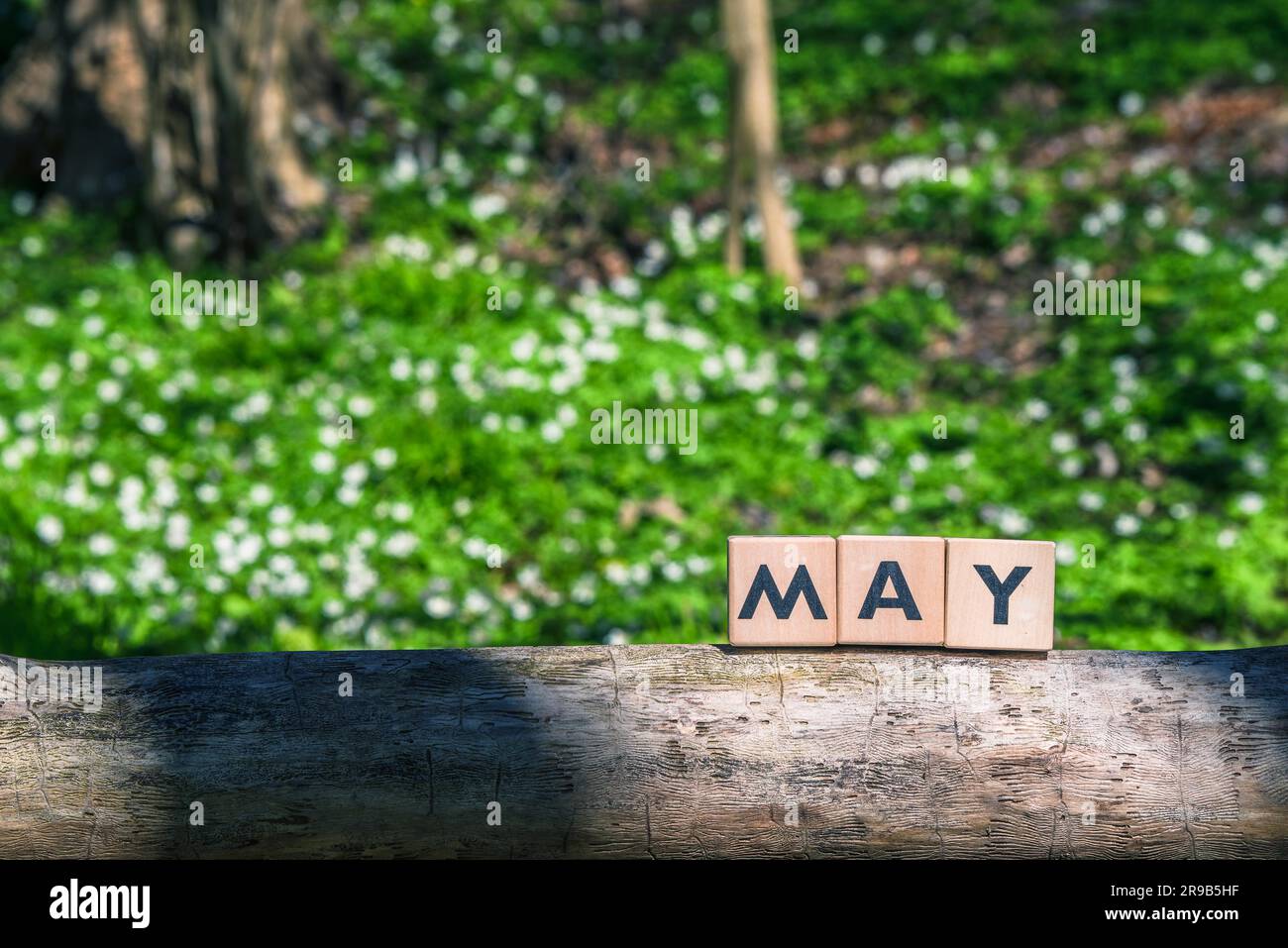 May spring sign in a green garden in a tree Stock Photo - Alamy