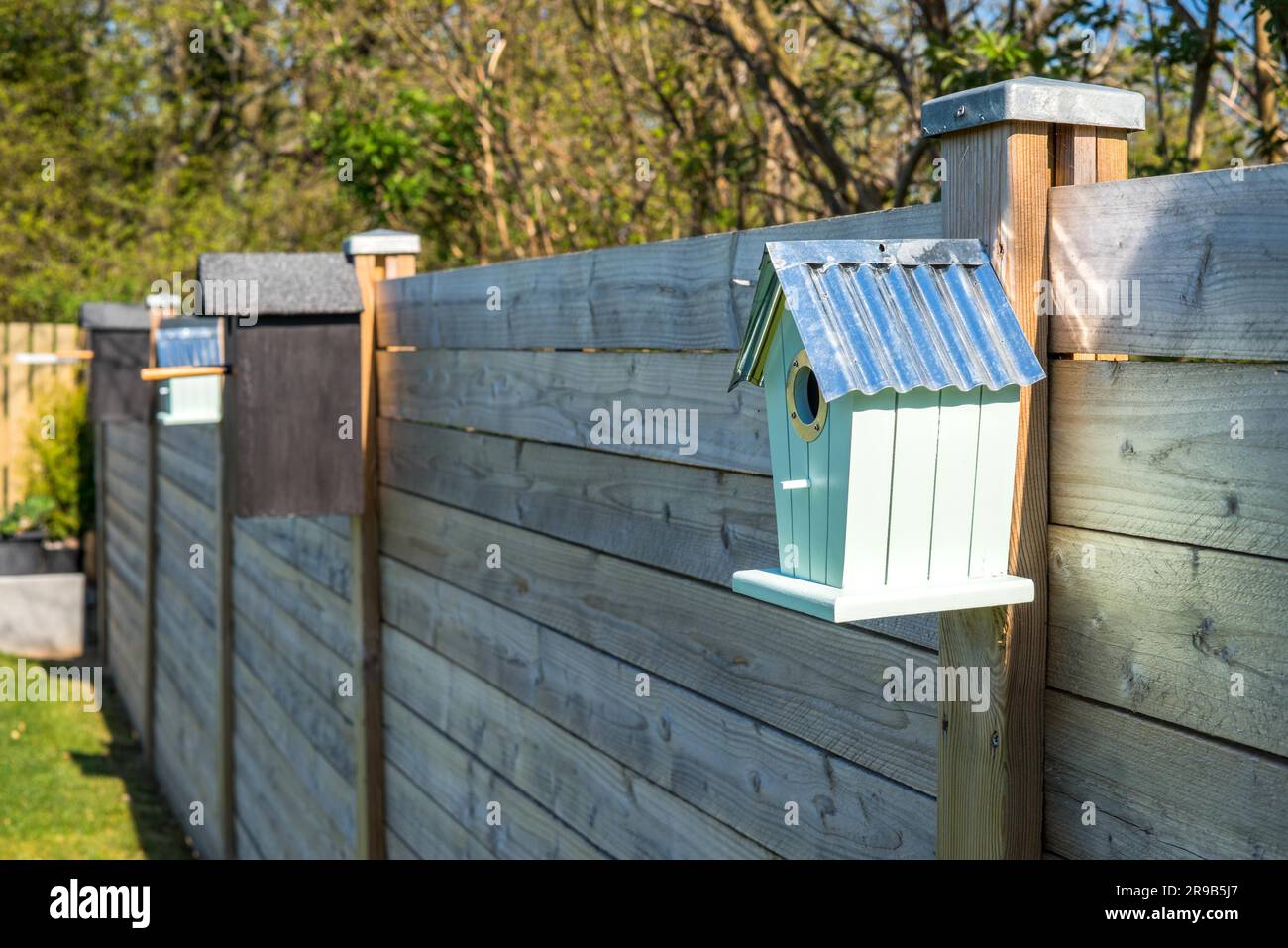 Row of bird nest hi-res stock photography and images - Alamy
