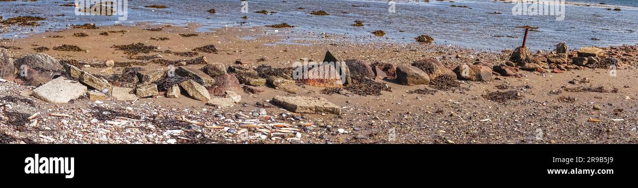 Pebbles and seashells on a beach in panorama Stock Photo - Alamy