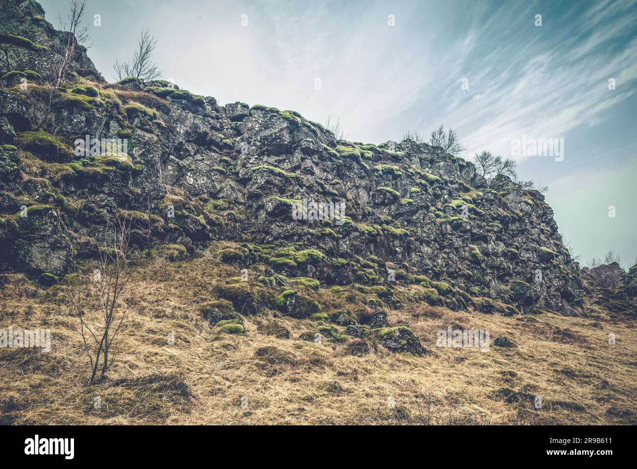 Black cliffs with green moss at Thingvellir national park in Iceland ...